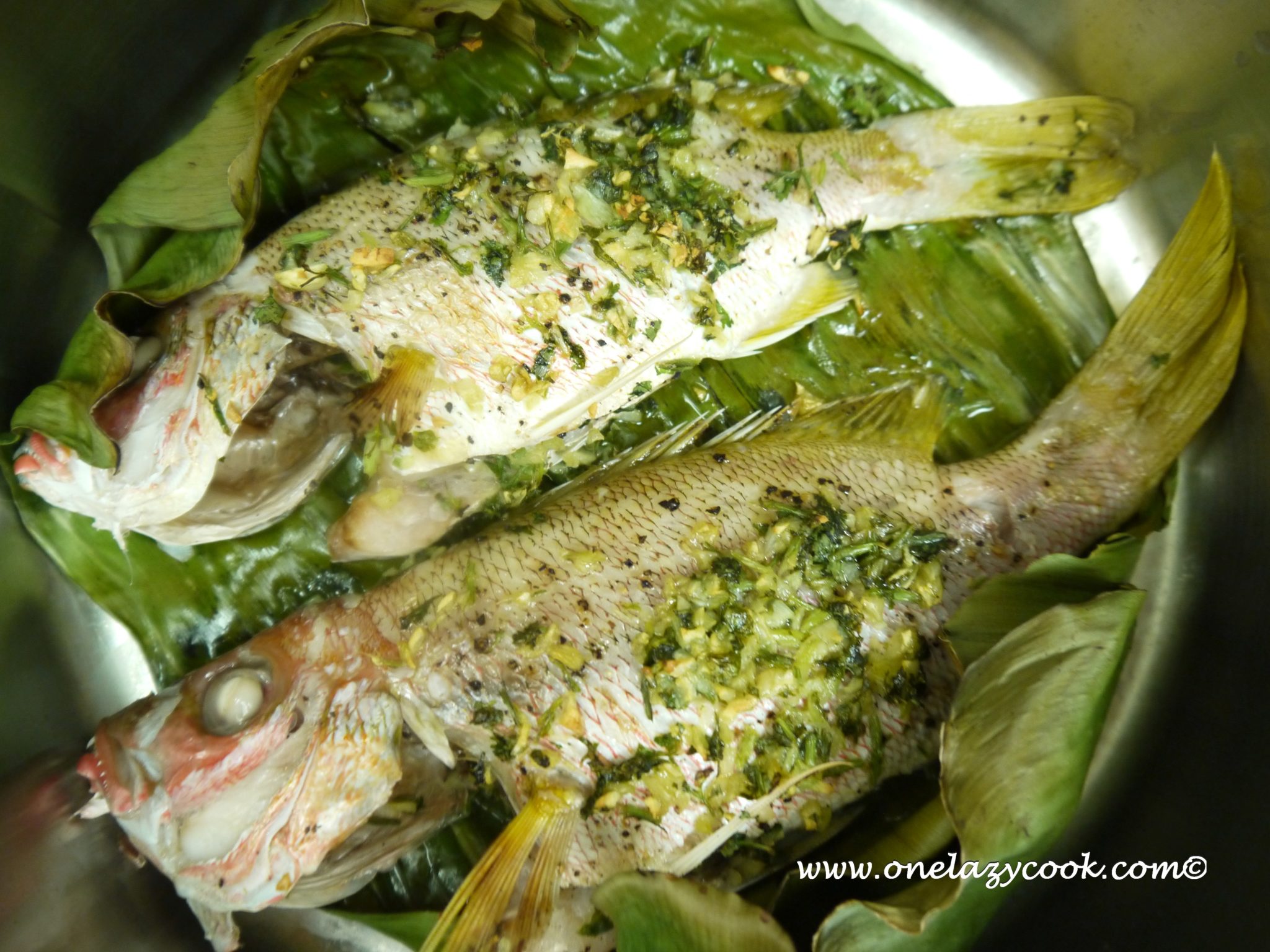 Kampung cum Western Style Grilled Yellow Tails – One Lazy Cook